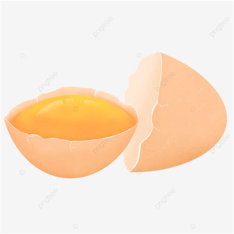 계란의 그림 삽화 계란 양털 기름 Png 일러스트 및 Psd 이미지 무료 다운로드 Pngtree