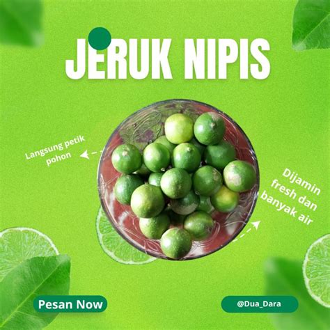 Jual Jeruk Nipis 1 Kg Murah Jeruk Nipis Fresh Langsung Petik Pohon