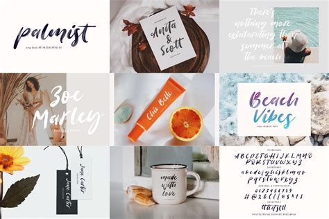Script Font Collection Bundle Prioritype Co