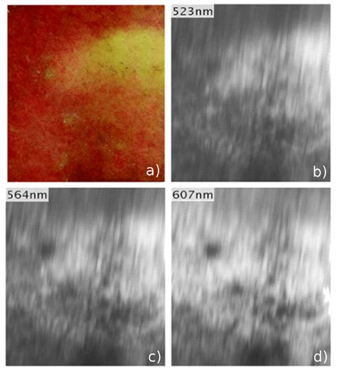 Hyperspectral Imaging Of The Fragment Of A Red And Yellow Apple Peel