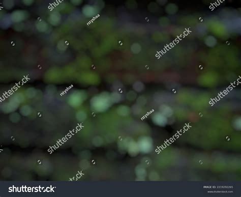 Defocused Illustration Weeds On Bricks Stock Illustration 2219292265