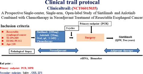 Thoracic Cancer Vol 15 No 19