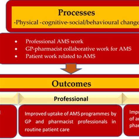gppas implementation model framework guiding ams implementation by