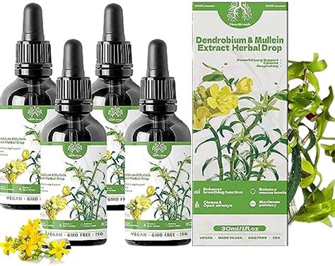 I Tested Dendrobium And Mullein Extract My Personal Experience And Surprising Results
