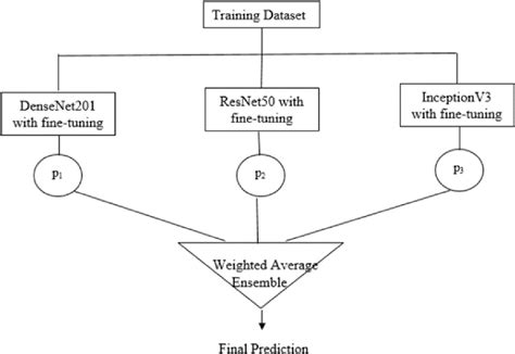 Figure 1 From A Hybrid Deep Learning Framework For Gastrointestinal Tract Classification Based