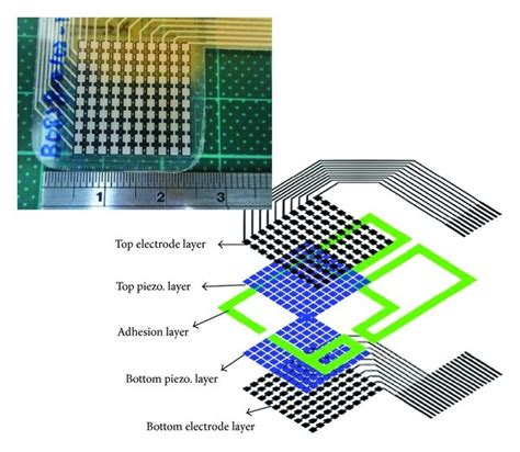 tactile sensor array was fabricated on a flexible film 20 mm × 20 download scientific