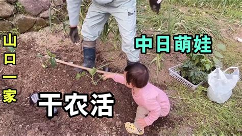 跟日本老公去種地，黑娜醬也著急幫忙，這刨土的姿勢專業不？ Youtube