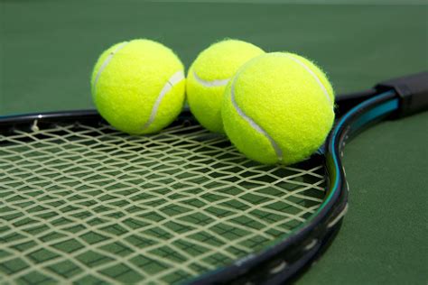 World Tennis Day At Terranora Echonetdaily