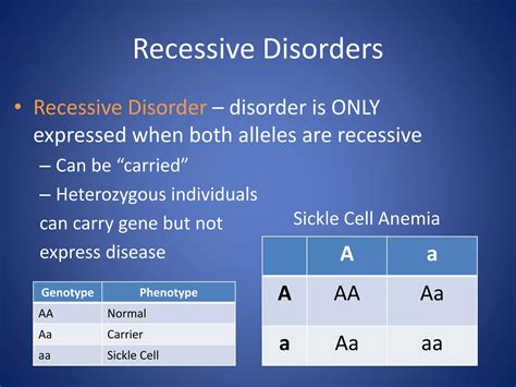 Patterns Of Inheritance Pptx