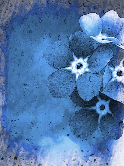 Download Vergissmeinnicht Forget Me Not Myosotis Royalty Free Stock
