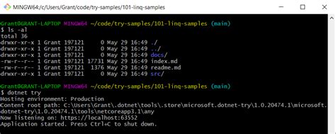 What Is Dotnet Try