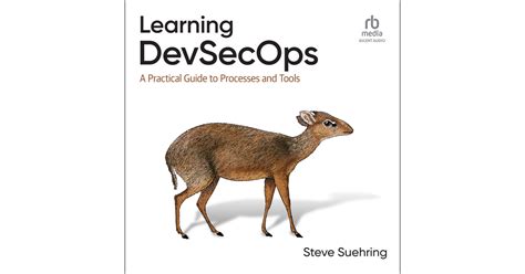 Learning Devsecops[video]