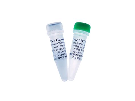尿嘧啶dna糖基化酶 Uracil Dna Glycosylase 铭毅智造科技有限公司