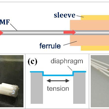 A Schematic Diagram Of The Sensor Tip B Photograph Of The Sensor Download Scientific