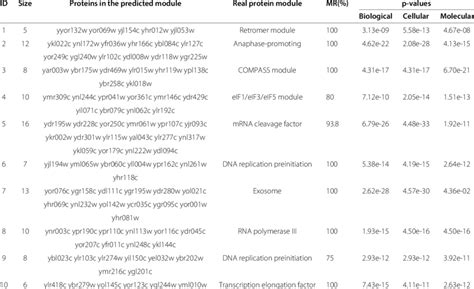 Some Functional Modules Predicted By Mcl Using Dip Data Download Table