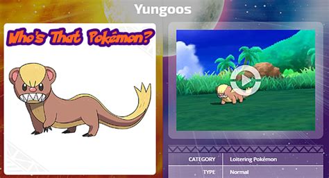 Whos That Pokémon Its Yungoos Miketendo64