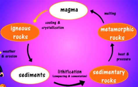 Gazpacho Is Not Tomato Soup Rock Cycle Unit 2