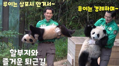 네이버 인플루언서