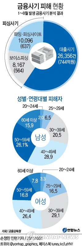 금융사기 피해 현황 연합뉴스