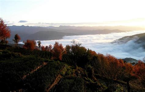 南涧过山调南涧山歌大理南涧小湾山歌对唱第4页大山谷图库