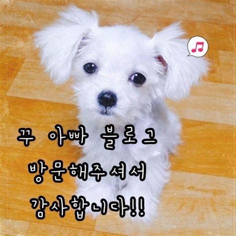 삶의 작은 일에도 소원 악보 D E F 코드 And 기타연주영상 네이버 블로그