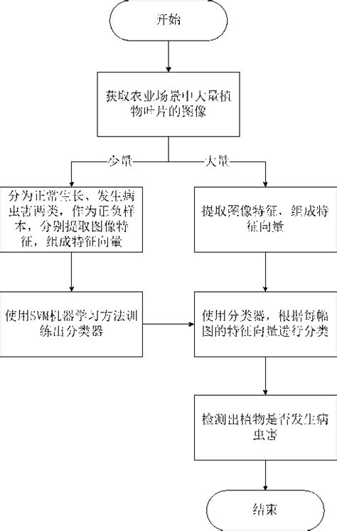 Plant Disease And Pest Detection Method Based On Svm Support Vector