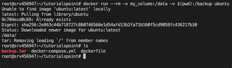 Docker Volumes