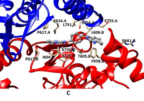 binding mode of the pam 1f refined using molecular dynamics simulation
