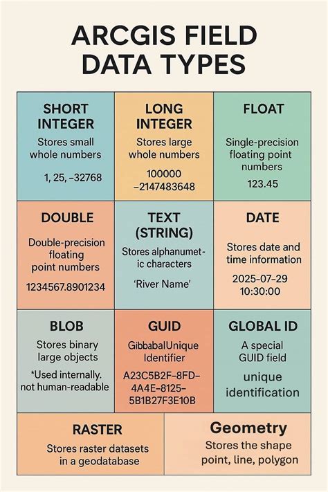 ArcGIS Field Data Types DBMS Data Types GISRSStudy