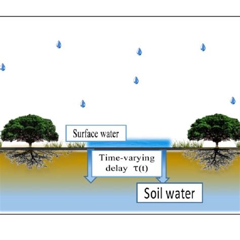 The Time Delay Between Surface Water And Soil Water Download