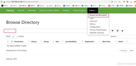 Hadoop Hdfs三种模式介绍及配置 Csdn博客
