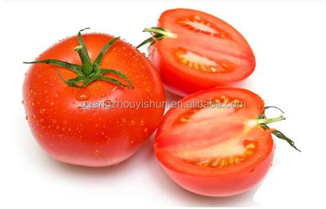 70g Best Tomato Paste Brands With Easy Open Lid Manufacturerchina Oem