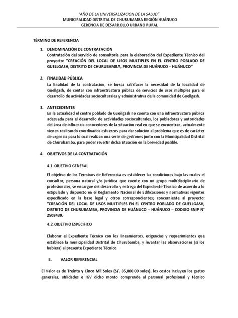 Termino De Referencia 09 01 2021 Sum Descargar Gratis Pdf