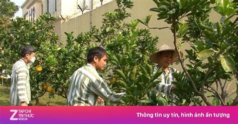 Thắp Lửa Mùa Xuân Xua Tan Bóng đêm Lầm Lỗi Pháp Luật Znewsvn