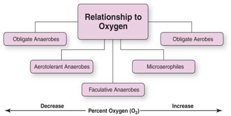 Week 1 Flashcards Quizlet Week 1 Flashcards Quizlet