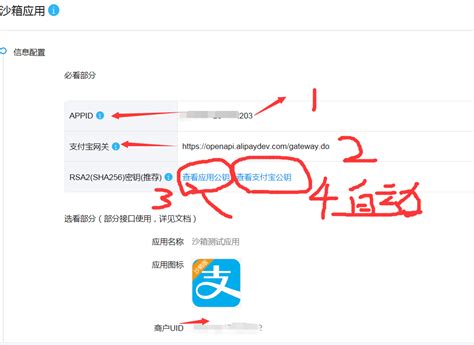 支付宝开放平台—开发中心—沙箱环境—详细步骤与操作说明 csdn博客