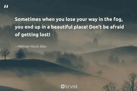 66 Fog Quotes For Those Quiet Misty Morning Reflections 2025