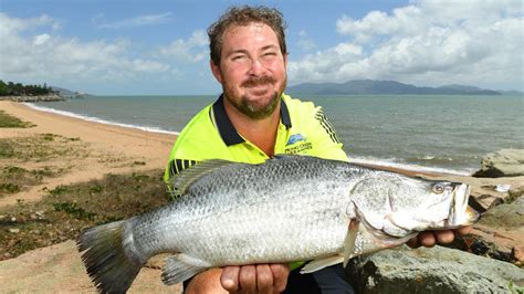Barramundi Industry Boom Sees Job Numbers Double In Townsville Daily
