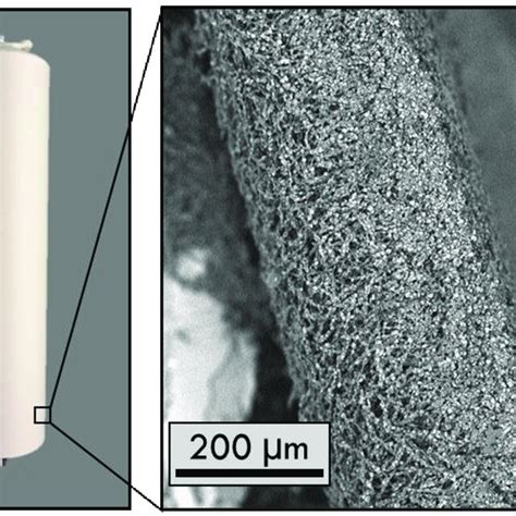 Electrospun Pan Sapo 34 Tubular Coating And Relative Sem Micrograph