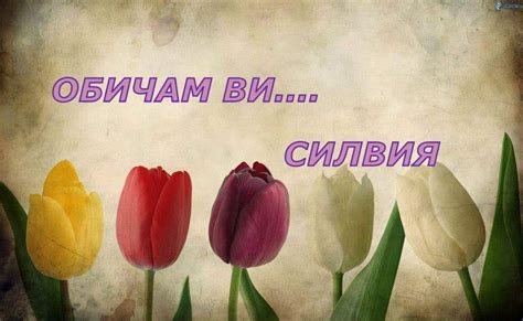 💥Гергьовден наближава Имам подарък за Стих ти посветих Facebook