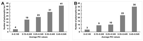 Ijms Free Full Text Iraps In Combination With Highly Informative