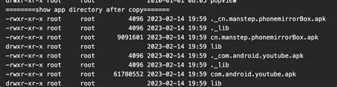 No Apps Showed Up After The Script Ran Issue Xeon Proton X