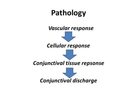 Viral And Bacterial Conjunctivitis