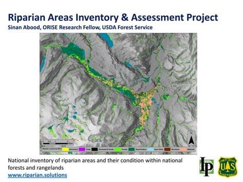 5 Riparian Vegetation Ppt