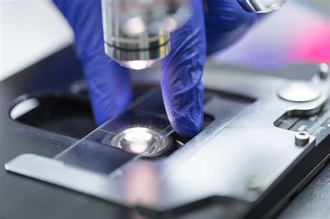 실험실에서 화학 샘플에 대 한 현미경을 사용 하 여 의료 실험실 과학자 손 장면 아래에 대한 스톡 사진 및 기타 이미지 아래 현미경 피 Istock