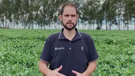 Cerimónia Fungicida Protegendo Suas Plantas Com Eficácia Actualizado