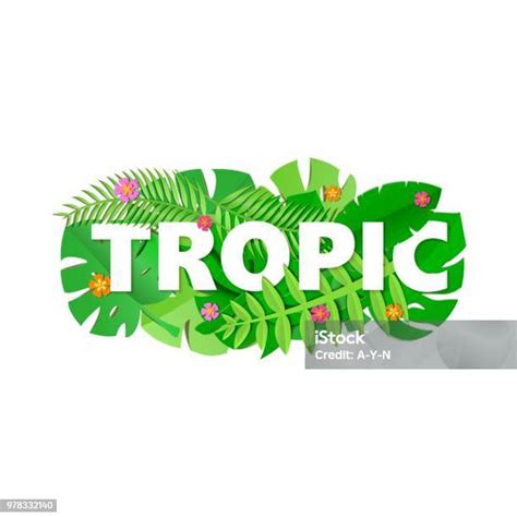 단어 트로픽 구성 녹색 정글 고 종이에 흰색 바탕에 꽃 컷 스타일 열 대 공예 잎 흰색 문자 디자인 포스터 배너 전단지에 대 한 T셔츠 인쇄 벡터 카드입니다 0명에 대한