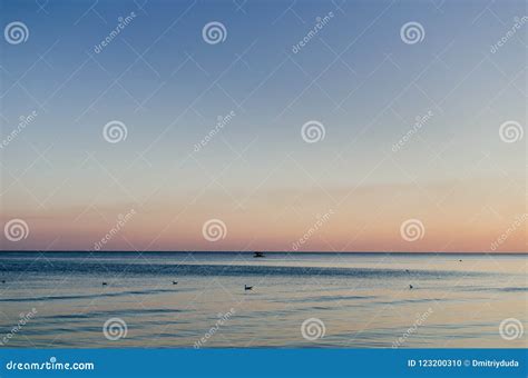 Sunset Over The Sea With Seagull And Boat Seagull On The Sea Stock
