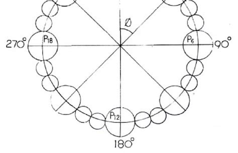 A Schematic Representation Not Scaled Of Transverse Section Of A Nest Download Scientific