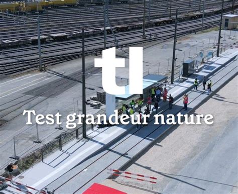 Tamara Bozovic On Linkedin Universaldesign Disability Access